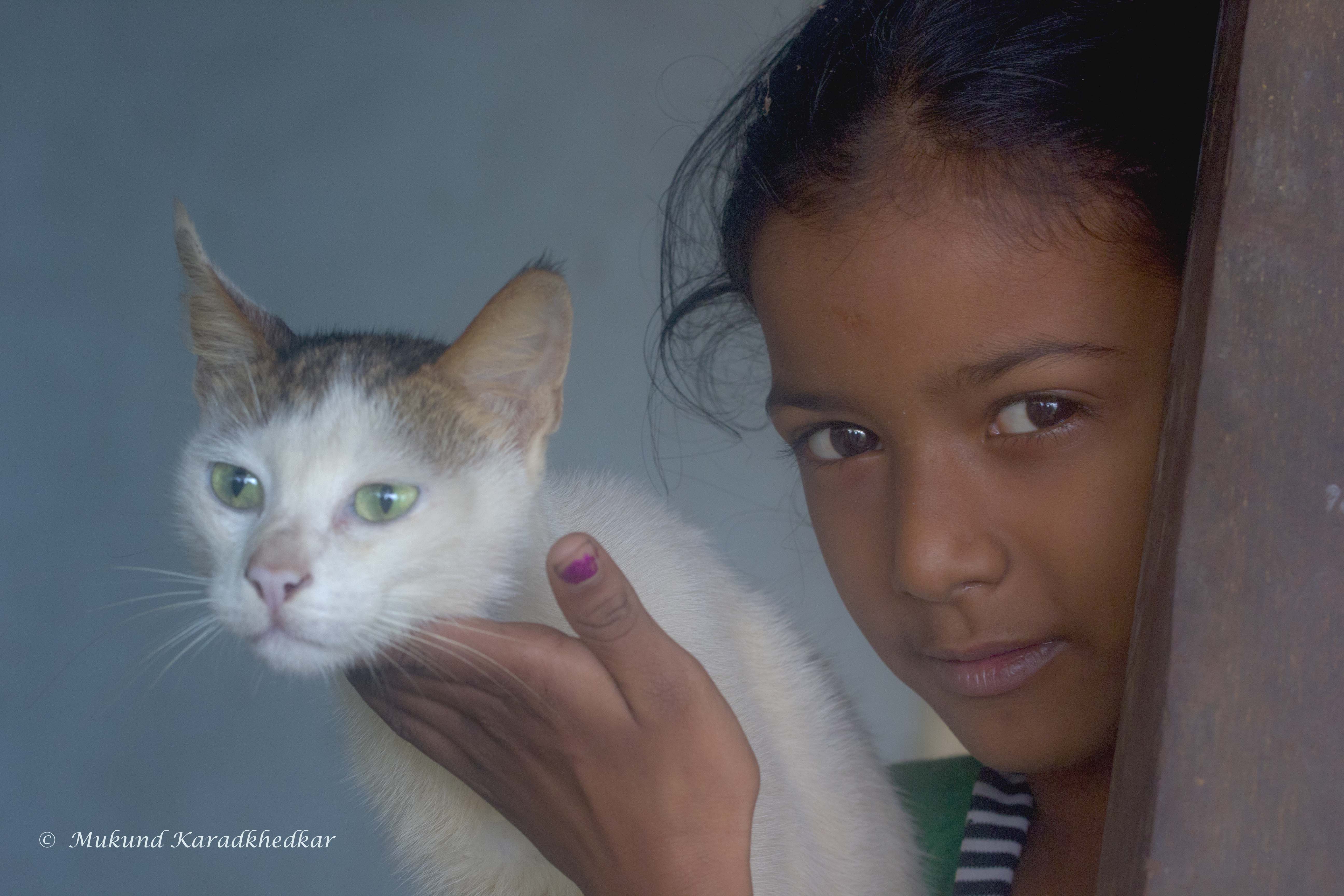 Photography – Curiosity – Awesomeplaces